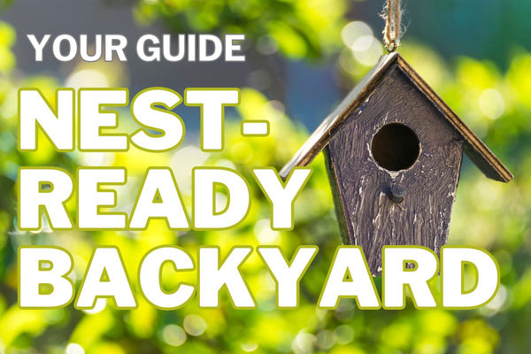 Bird Nesting Season: Your Guide to a Nest-Ready Backyard – Purity Feed
