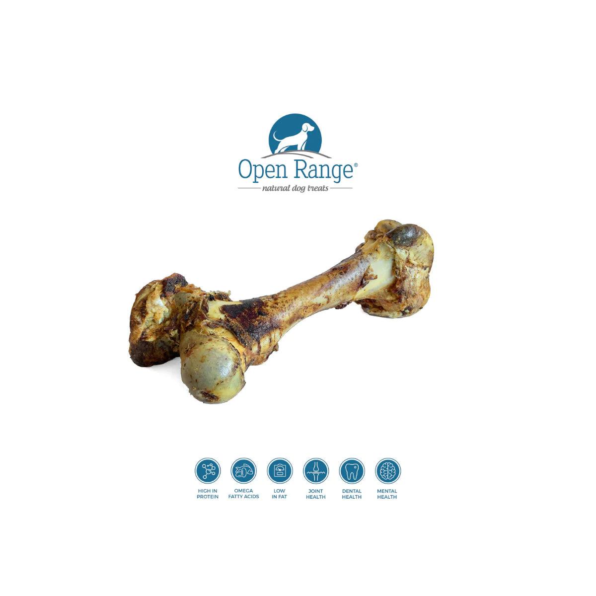 Open Range Beef Cured Dino Bone – Purity Feed