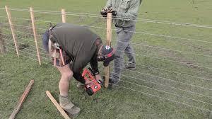 Fence Droppers | Un-treated | 48" – Purity Feed