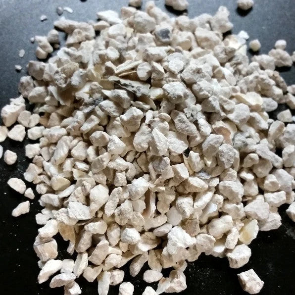 Oyster Shell 55lbs – Purity Feed