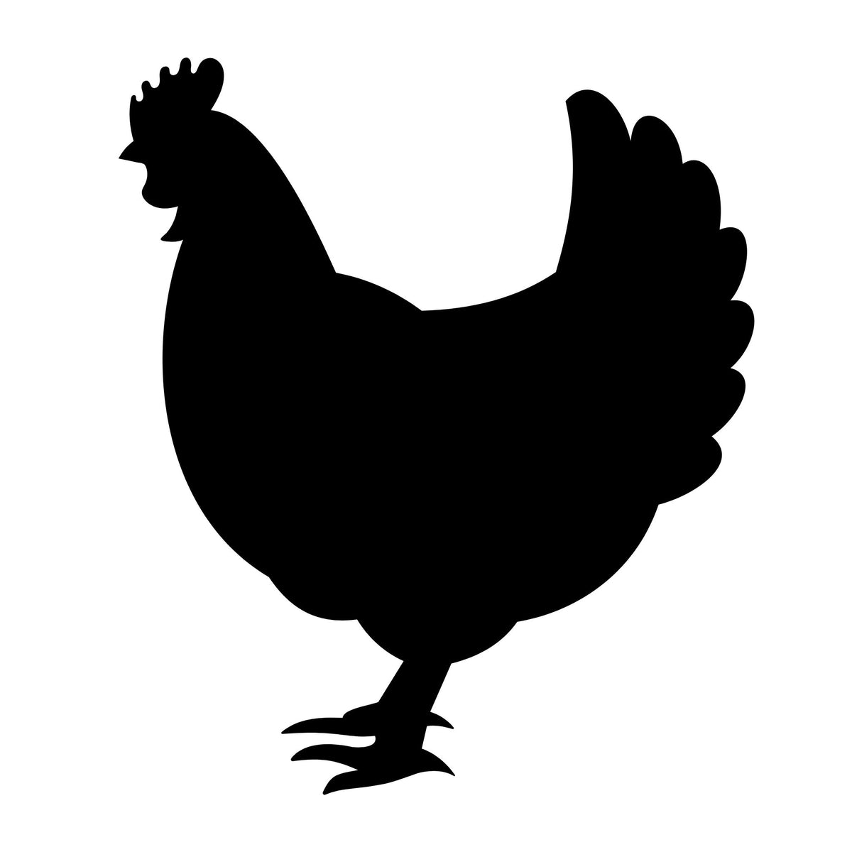 Beak Treatment – Purity Feed