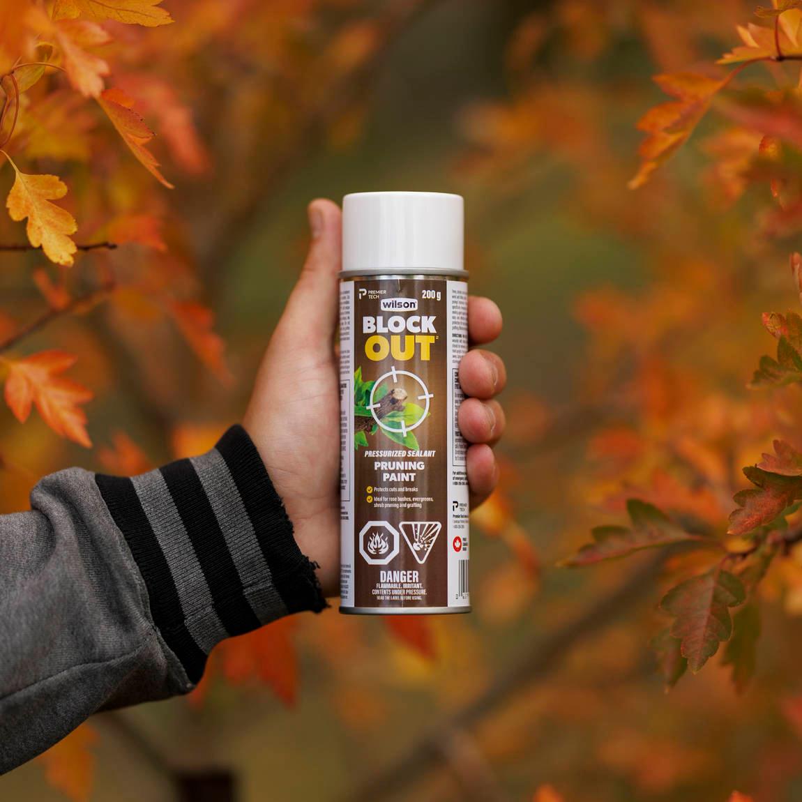 Wilson Block Out Pruning Paint 200g – Purity Feed